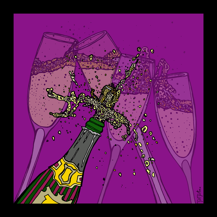 David J Diamant - art, websites, photography - Santa Barbara, CA - 805. ...